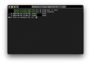 rm -rf Linux: How To Remove Files - Copahost